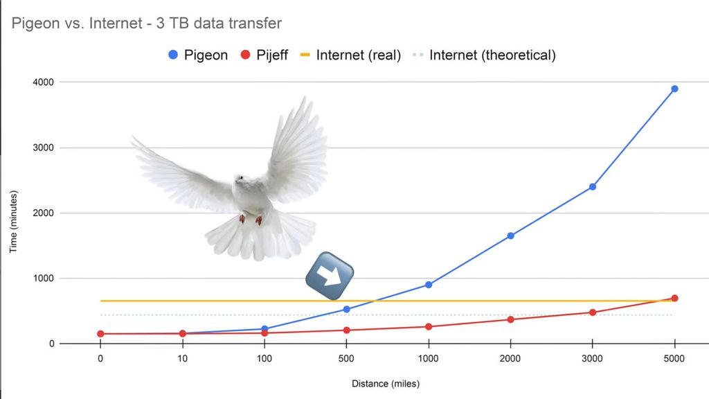 Yes, a Pigeon is Faster for Data Transfer than Gigabit Fiber Internet ...