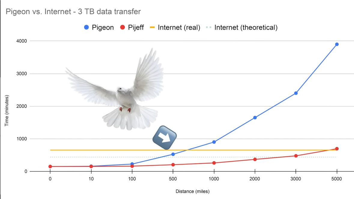 Yes, a Pigeon is Faster for Data Transfer than Gigabit Fiber Internet ...