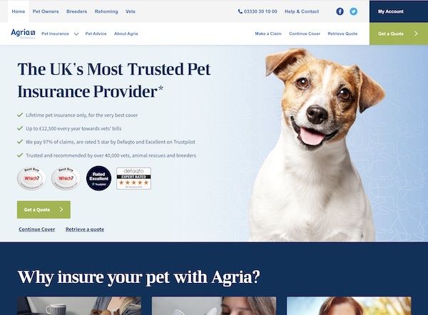 Best pet insurance: Essential cover to put your mind at ease | PetsRadar