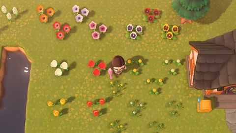 How to create hybrid flowers in Animal Crossing New Horizons | GamesRadar+