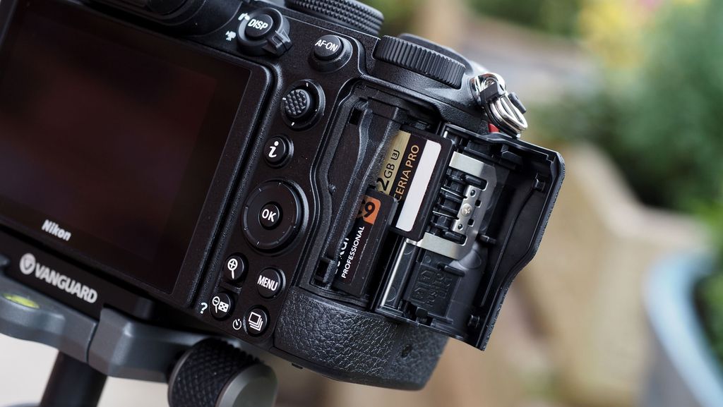 Nikon Z5 vs Z50: even the names sound (nearly) the same, so which is ...
