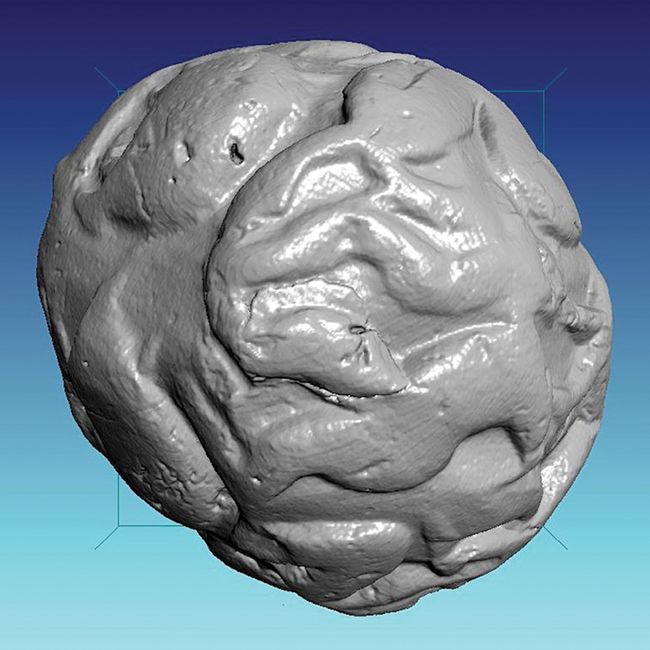 In Photos: Lost Prehistoric Code Found in Mesopotamia | Live Science