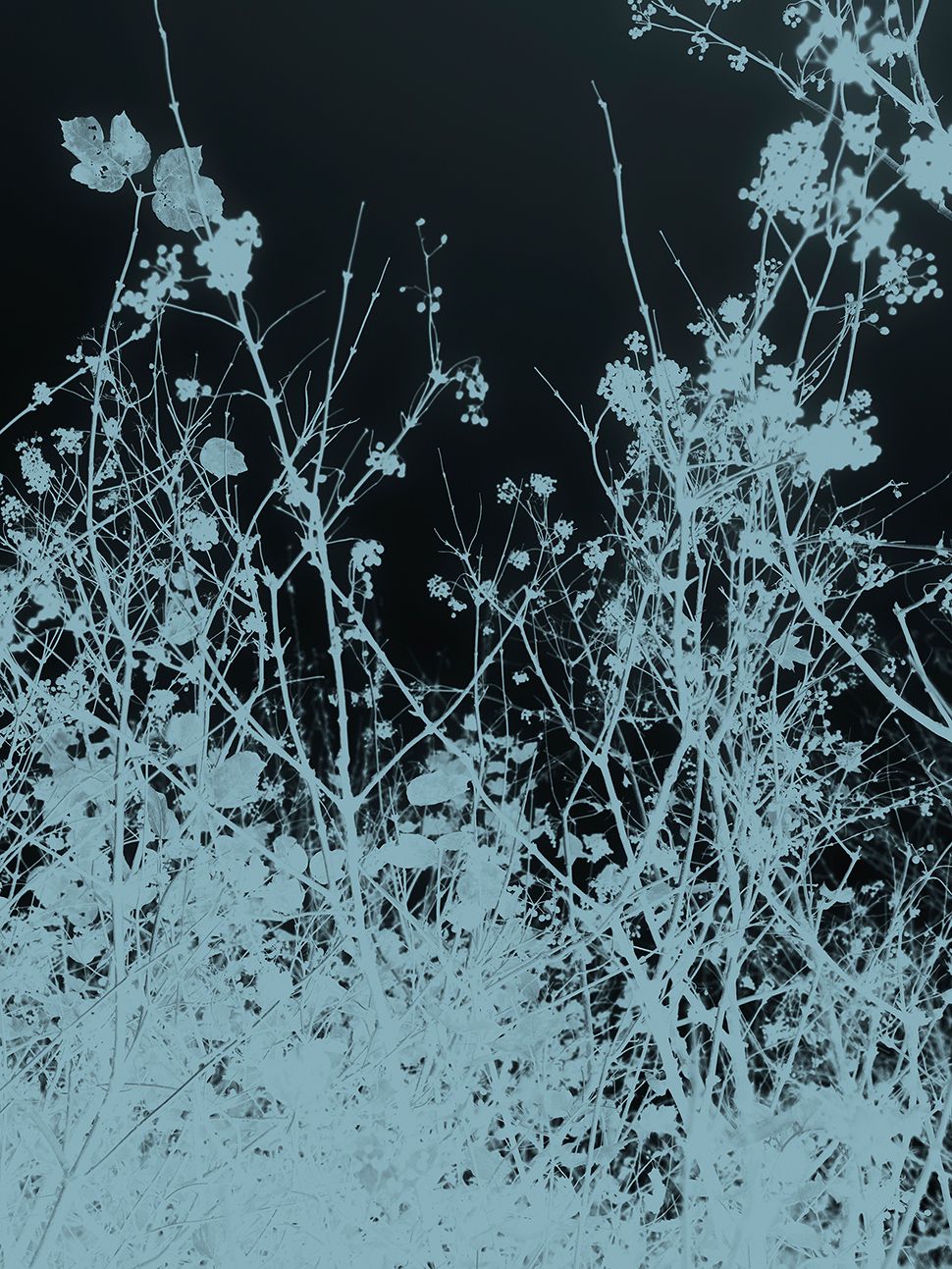 “This image is actually a mistake” | Digital Camera World