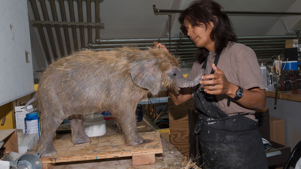 Dwarf elephants and shedding mammoths shine at NYC's 'Secret World of ...