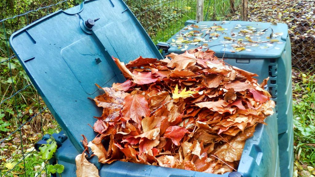 Leaf Mold vs. Compost: Which Is Best for Your Garden? | Gardening Know How