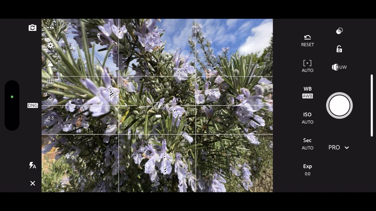 Adobe Lightroom CC review | Digital Camera World
