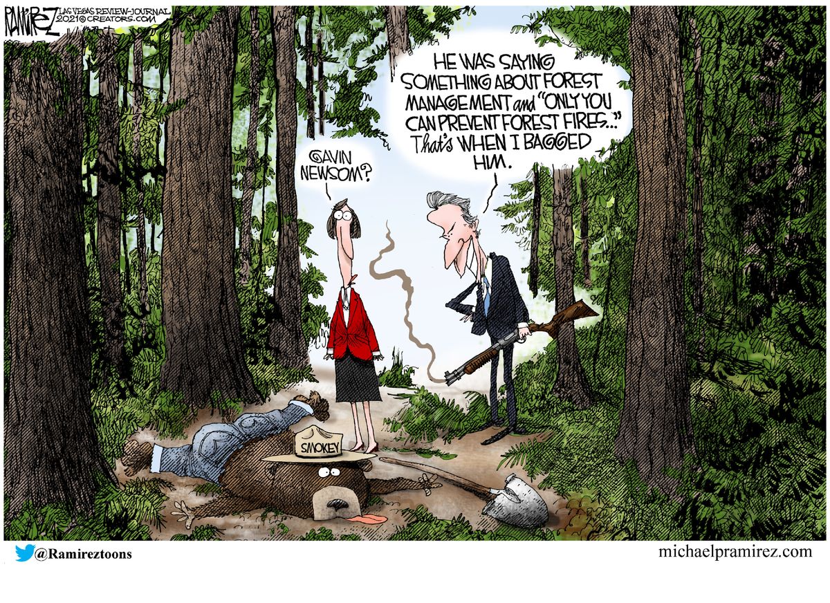 only who can prevent forest fires? | The Week