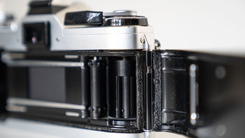 Buying and using Canon film cameras | Digital Camera World