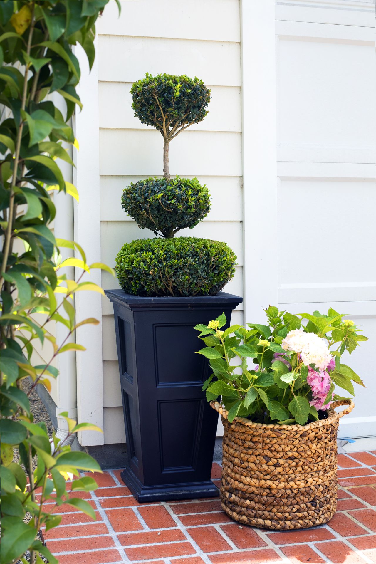 Flower container trends | Livingetc