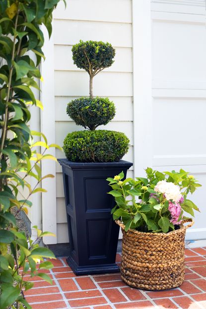 Flower container trends | Livingetc