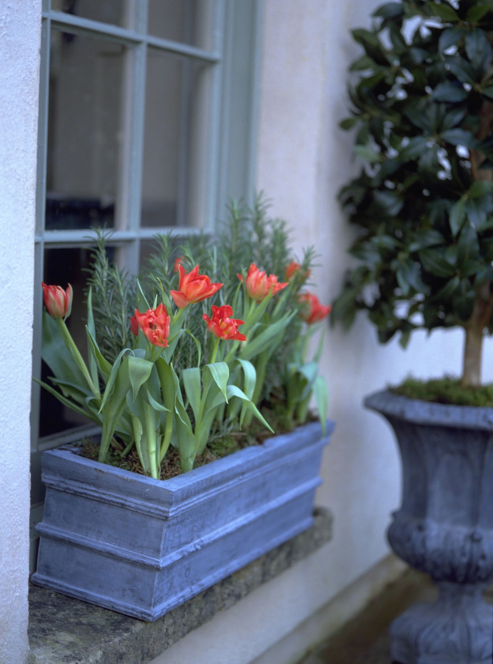 Window box ideas: 16 ways to make a stunning display full of flowers ...