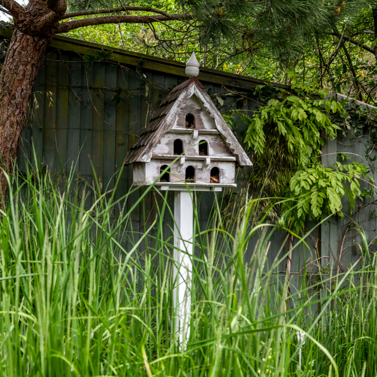 What to do if birds are nesting on your roof | Ideal Home