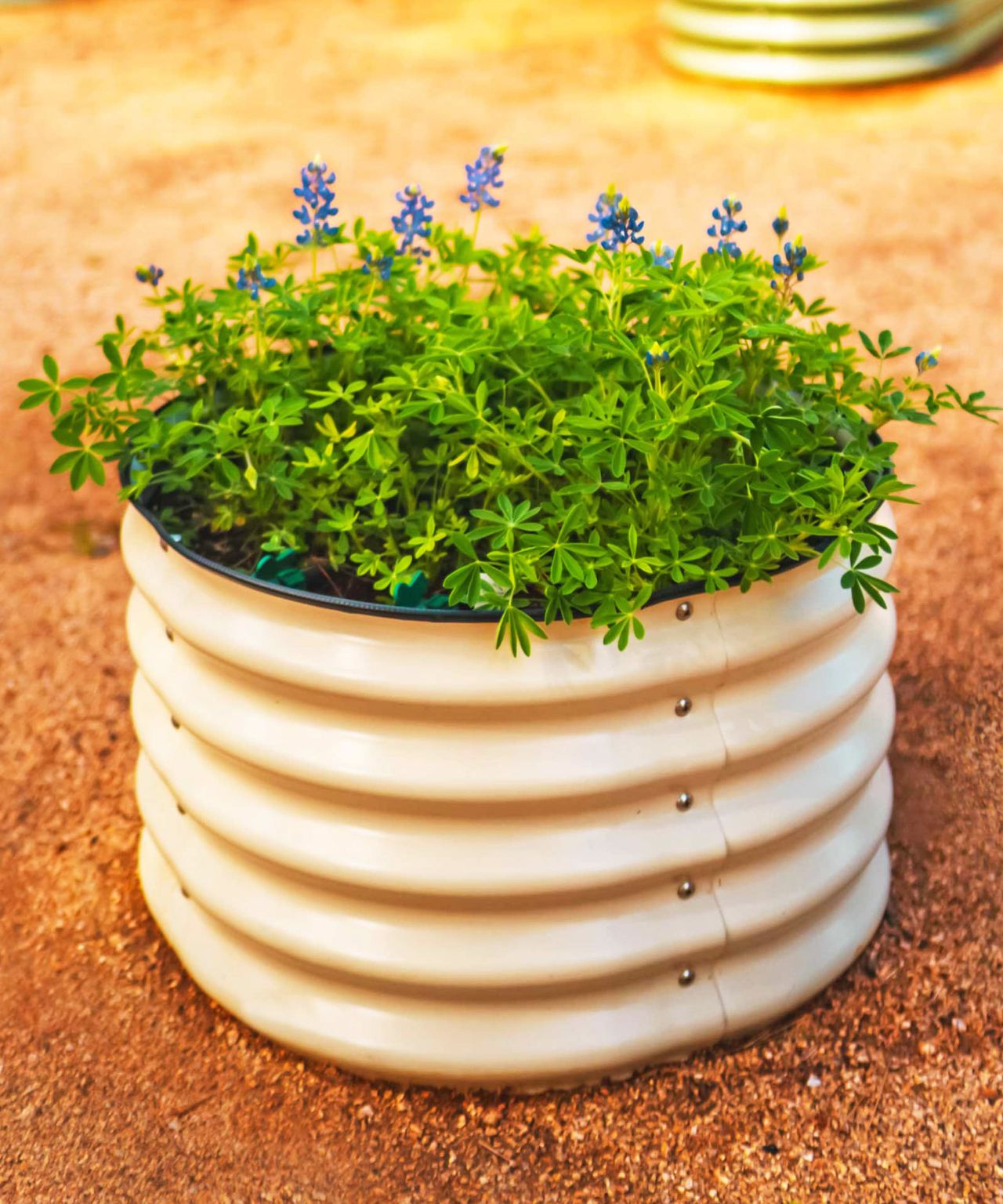 15 Herb Garden Planter Ideas – Grow An Aromatic Patio Feast | Gardening ...