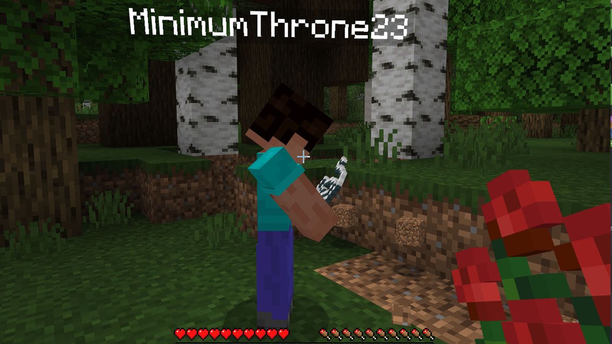 How different Minecraft servers can optimize gameplay | TechRadar