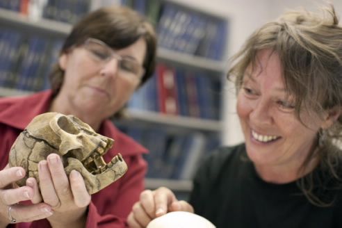 Image Gallery: A Real-Life Hobbit | Homo Floresiensis: Page 2 | Live ...