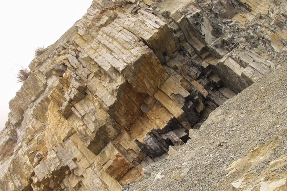 Microbe's Innovation May Have Started Largest Extinction Event on Earth ...