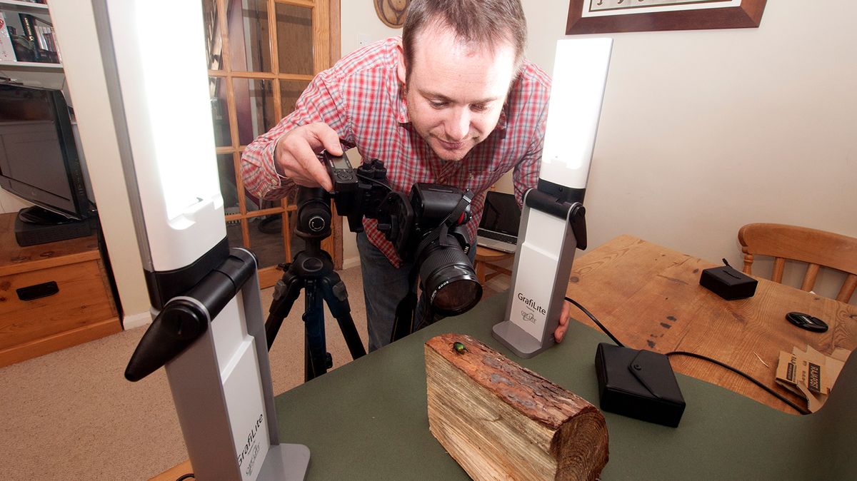 Focus stacking: how to get amazing depth of field in macro photography ...