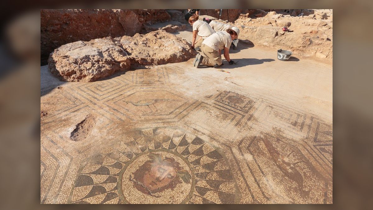 'Exceptional' winged Medusa discovered in Roman-era mosaic in Spain ...