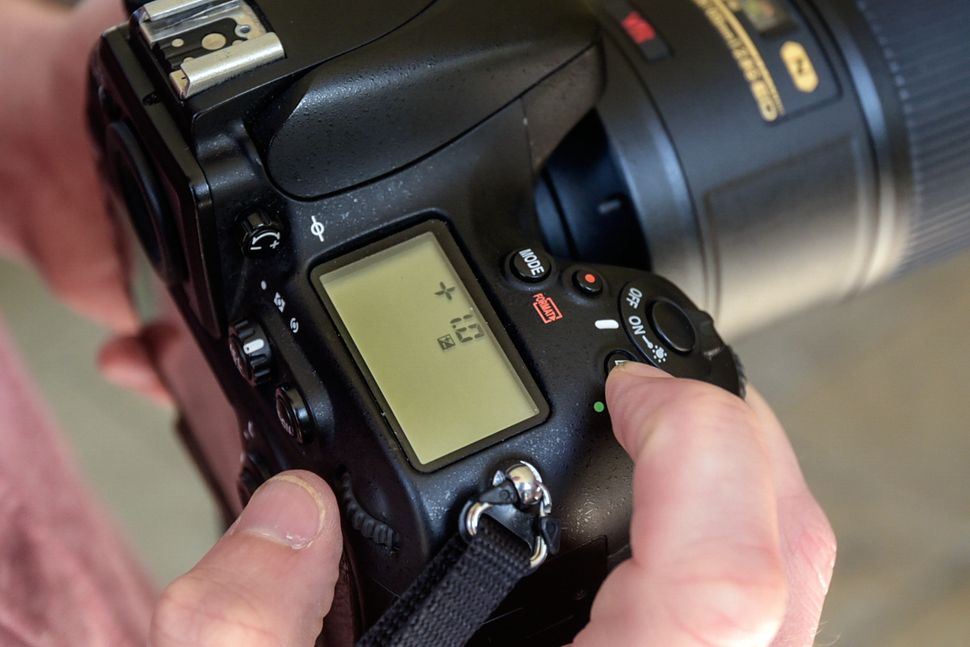 Tackle tricky outdoor light with exposure compensation | Digital Camera ...