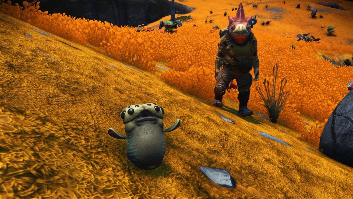 The best No Man's Sky creatures we've seen | PC Gamer
