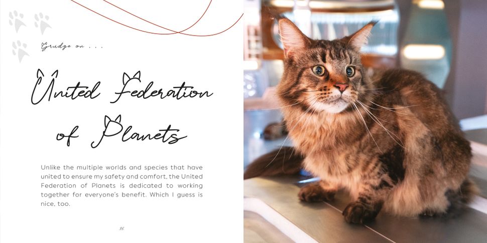 An exclusive 1st look at 'Star Trek: Discovery – The Book of Grudge ...