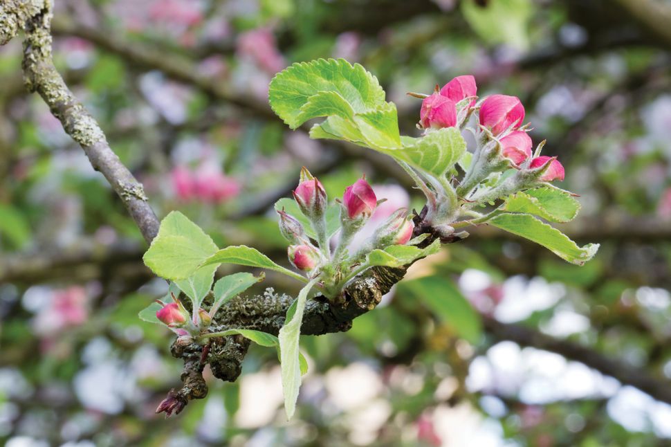 50 Canon camera tips: Everything you need to get the best out of your ...