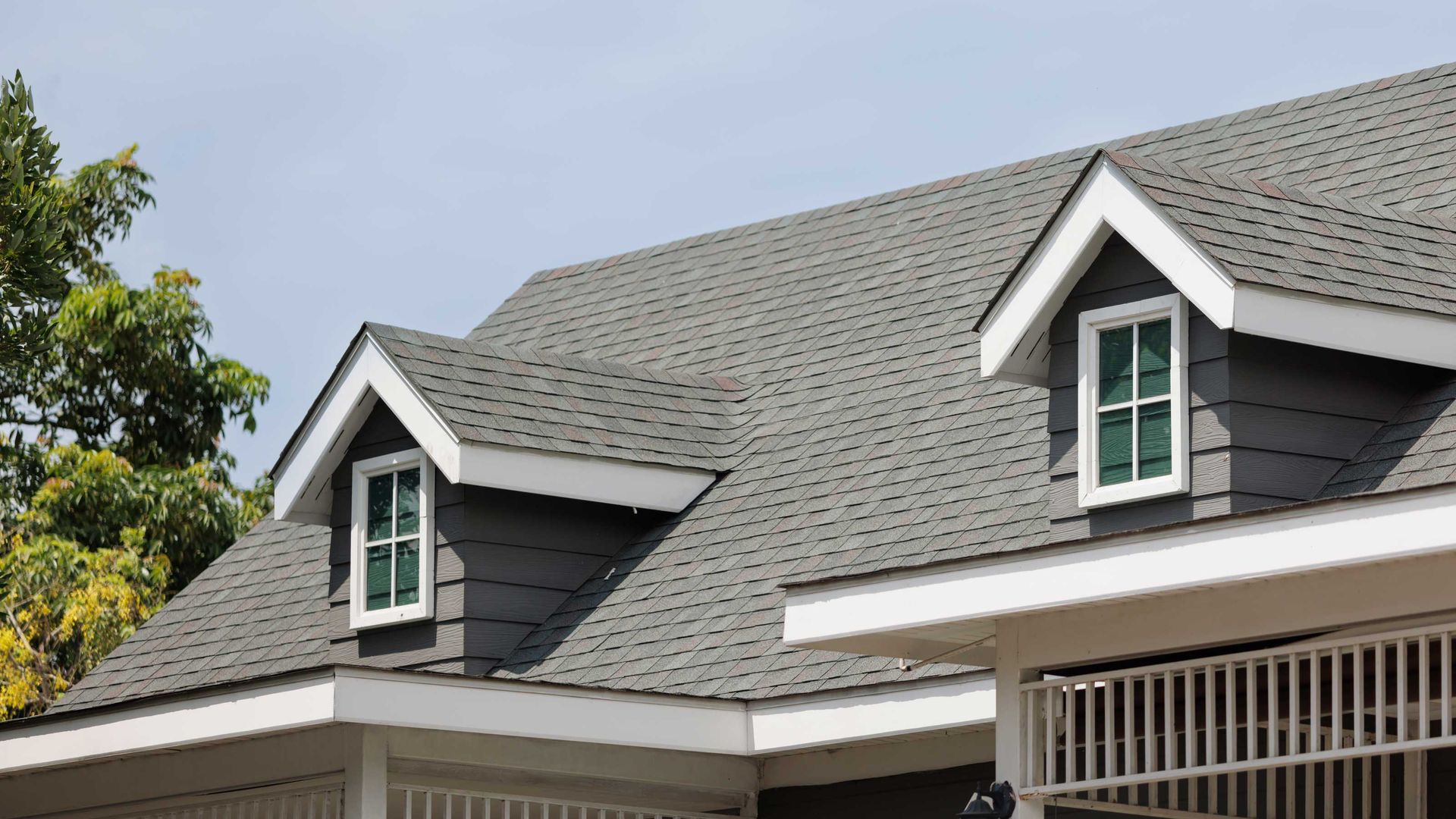 5 common roof pest infestations | Homes and Gardens