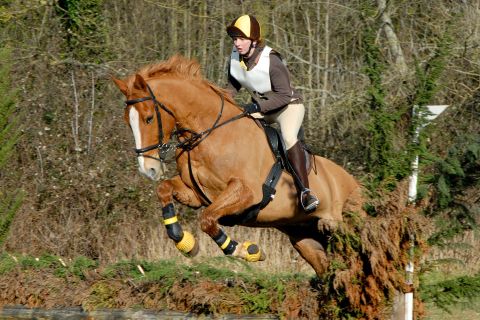 Nikon's AF modes demystified: here's how to track the action! | Digital ...