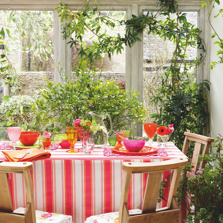 Should you remove ivy from your house? Pros and cons | Ideal Home