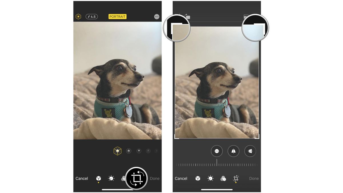How to crop and resize your photos on iPhone and iPad | iMore