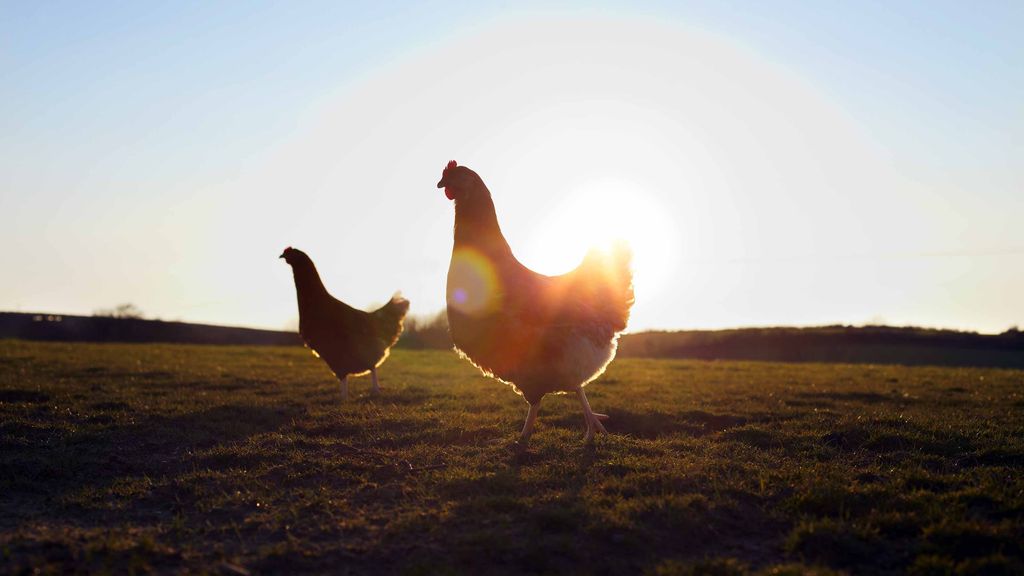 The 5 Best Inflation-Proof Stocks | Kiplinger