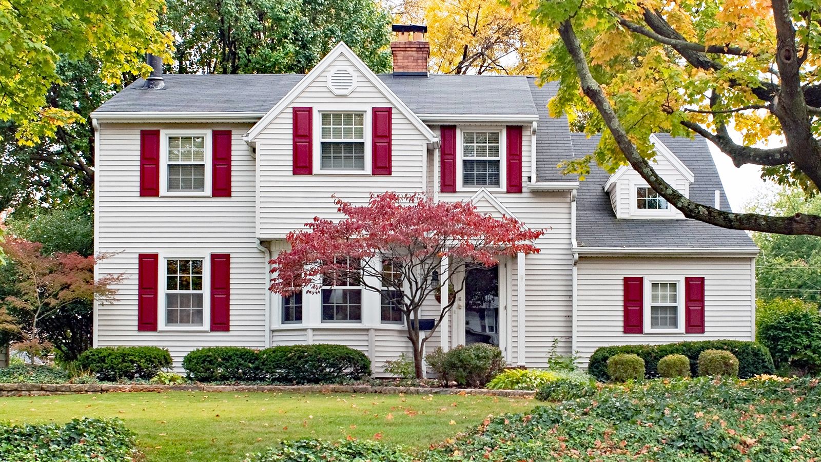 8 Small Trees For Front Yards With Maximum Curb Appeal | Gardening Know How