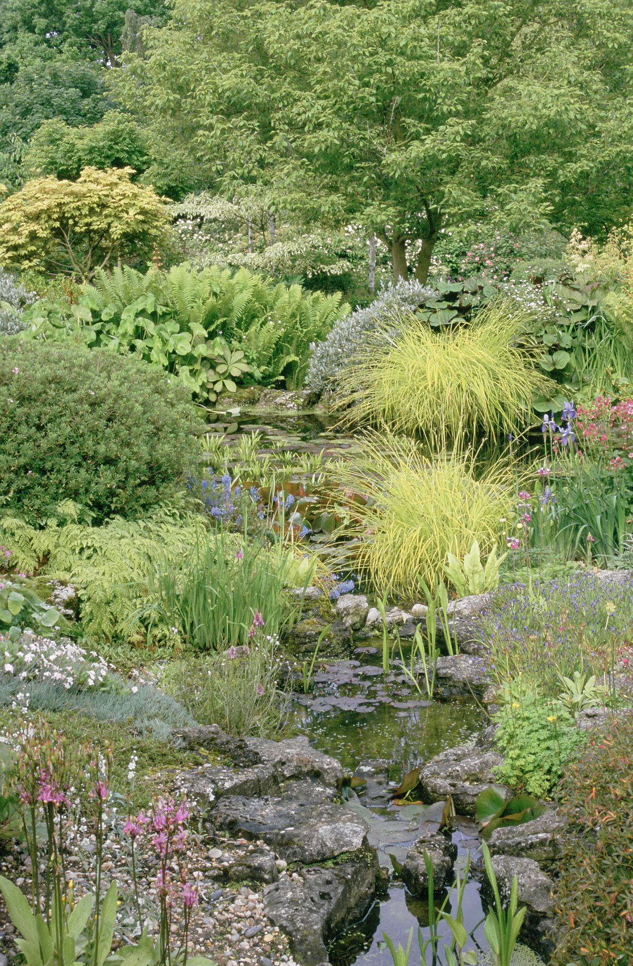 Rock garden ideas – 20 ways to create a modern rockery | Homes and Gardens