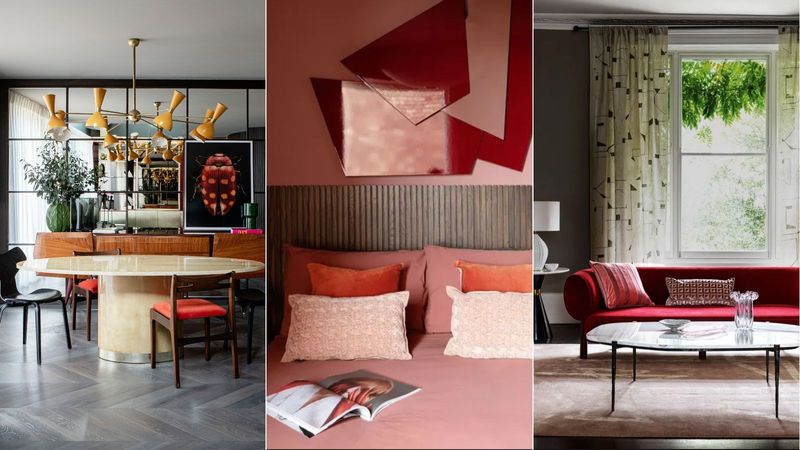 How to plant bare root trees in the ground or pots in winter | Homes ...