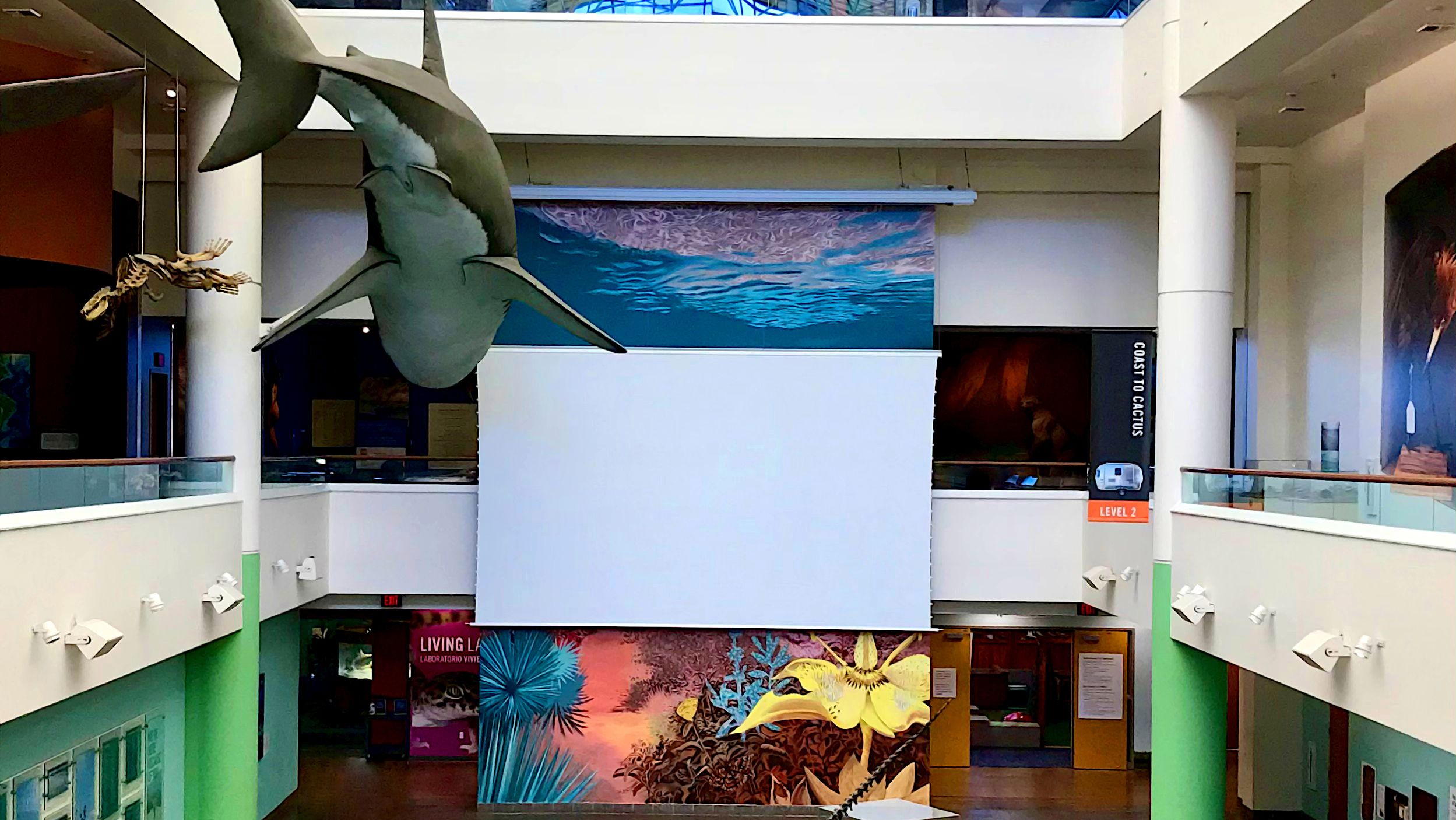 'The Nat' Needed a New Projection Screen. Severtson Answered the Call ...