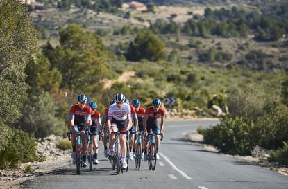 How pro cyclists have used DNA testing to improve their riding ...
