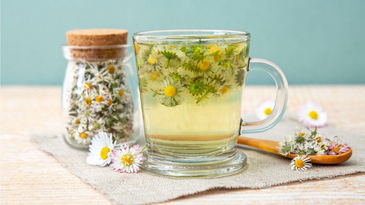 You Don’t Need Soil to Grow a Tea Garden on Your…