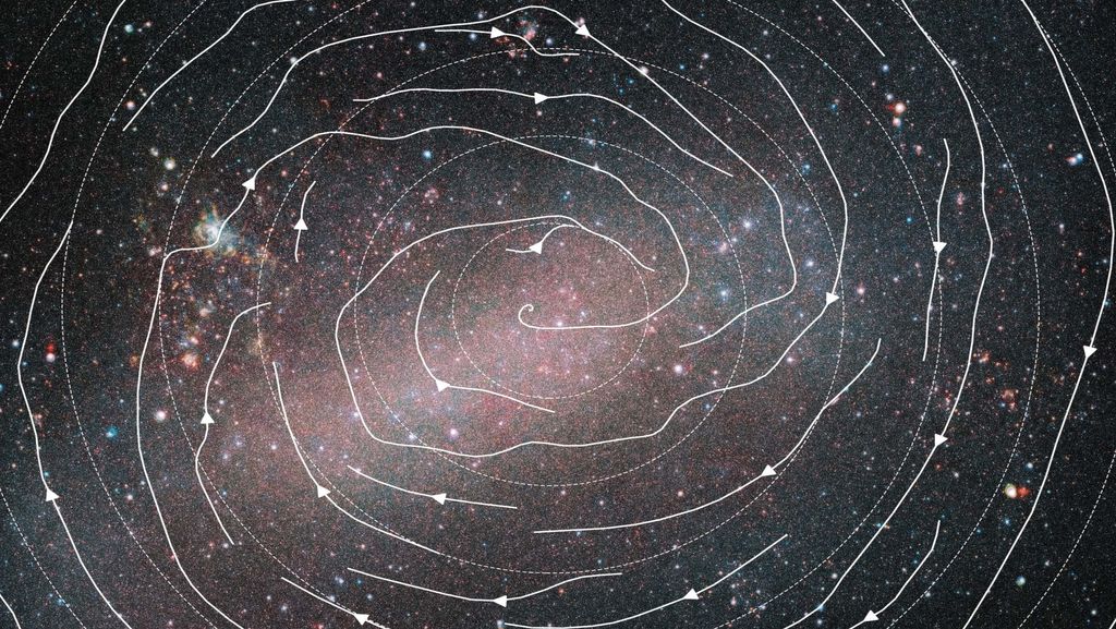 Pornô de menina nova