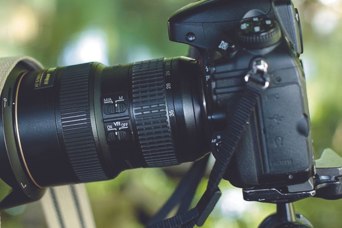 How to photograph wildlife using a wide-angle lens - Video tutorial ...