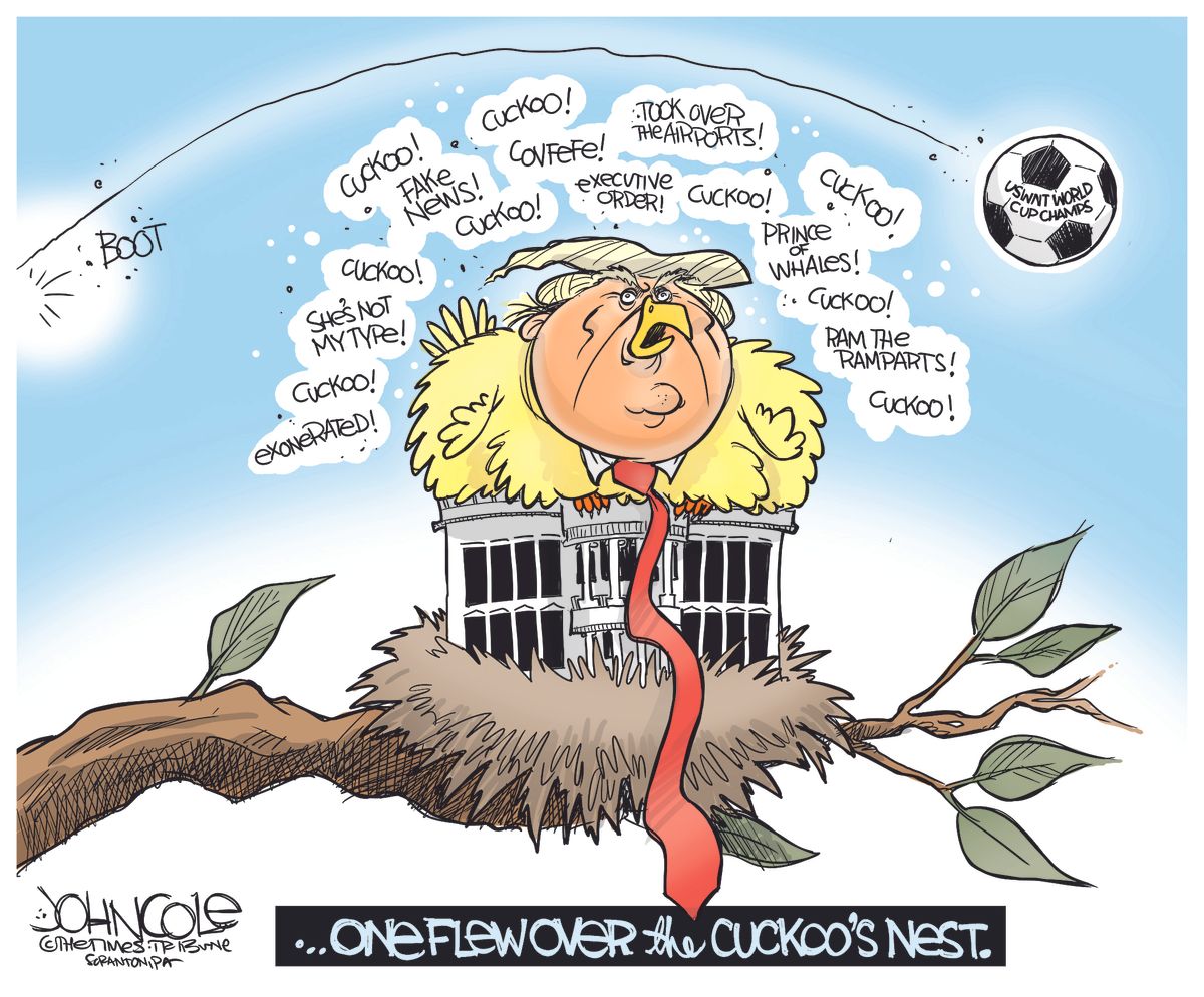 Political Cartoon U.S. Trump USWNT Champions One Flew Over the Cuckoos ...