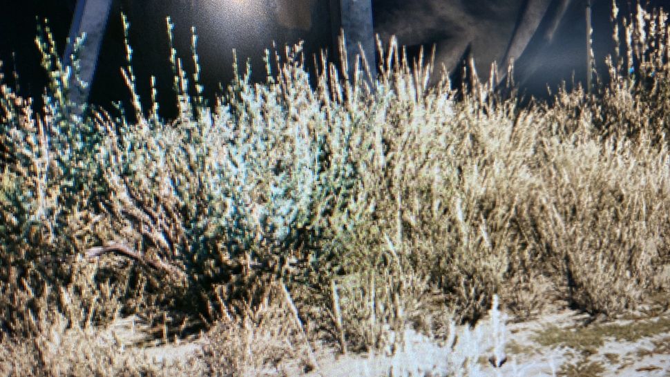 Alienware AW2725QF gaming monitor review | PC Gamer