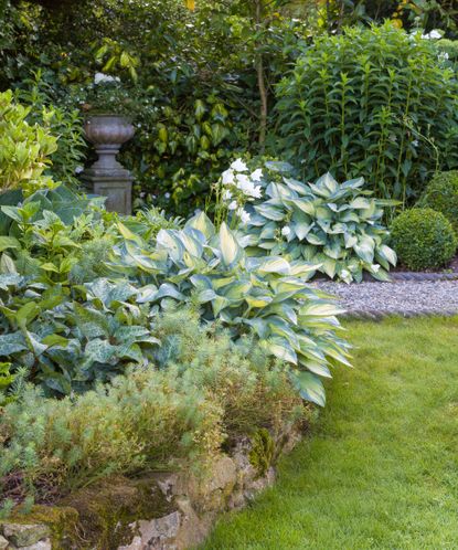 White garden ideas: 10 elegant designs full of shape and texture ...