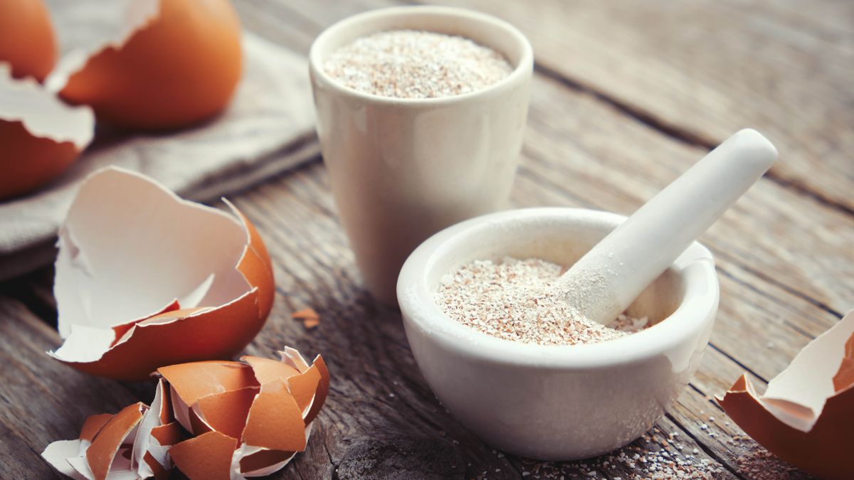 11 surprising uses for eggshells in your home and garden | Tom's Guide