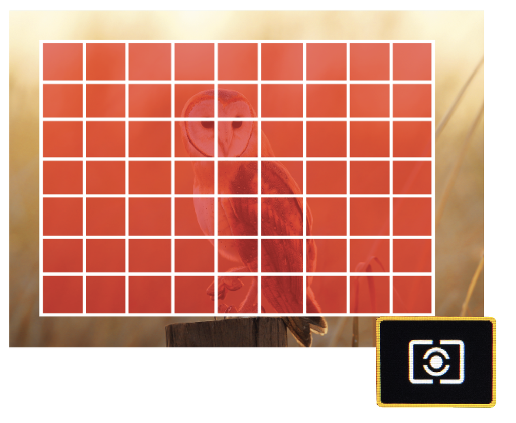 Photography cheat sheet: how to use manual exposure mode | Digital ...