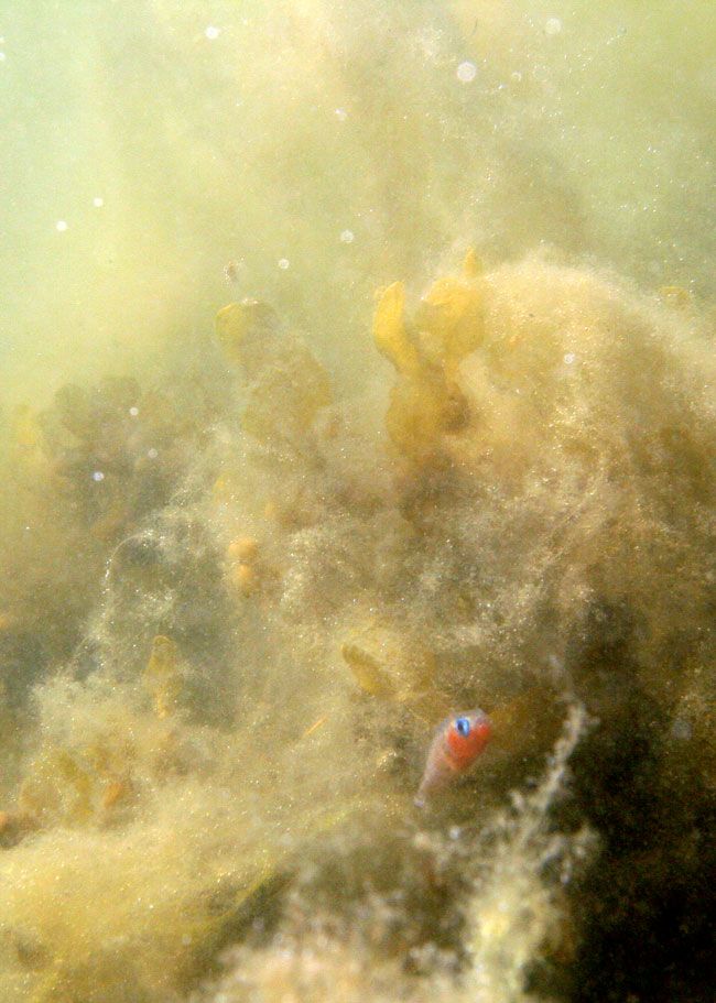 Articles by: Corey Binns | Live Science