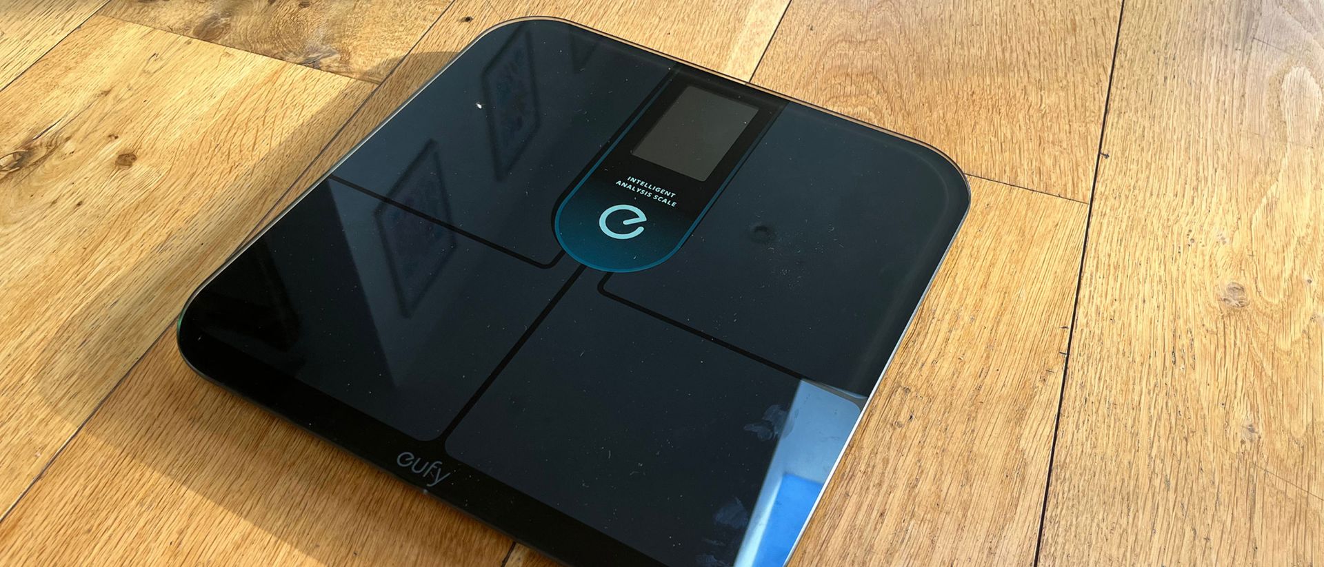 Eufy P3 smart scale review: In-depth body composition analysis without ...