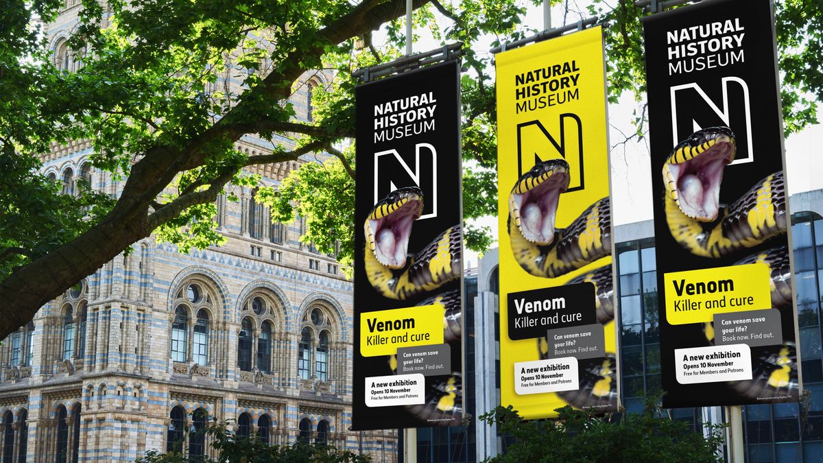 'There was a creative void that we both wanted to fill': a day in the ...