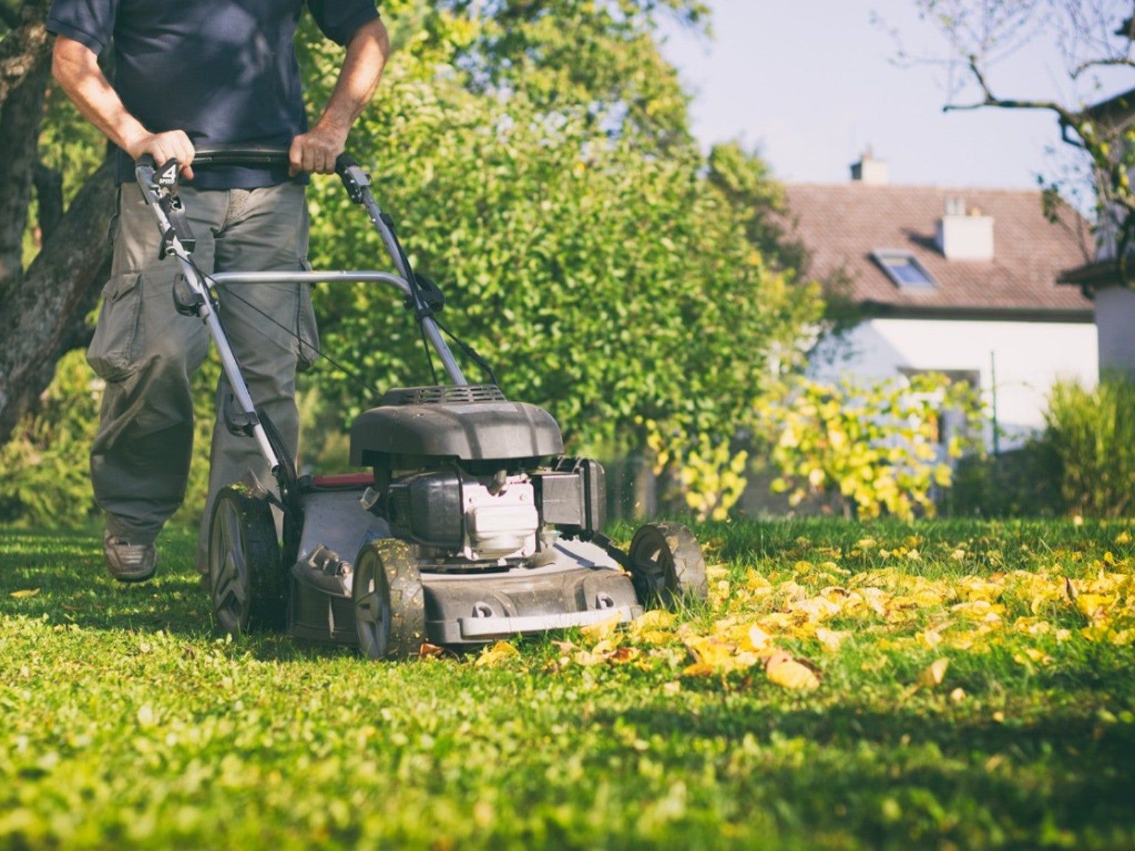 Lawn Care Tips For Late Summer And Early Fall | Gardening Know How