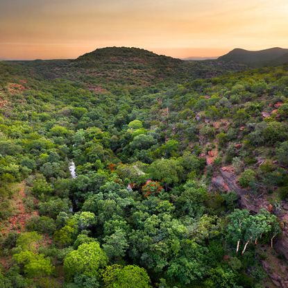 This Skinny House in The South African Bush Leaves Nature Untouched