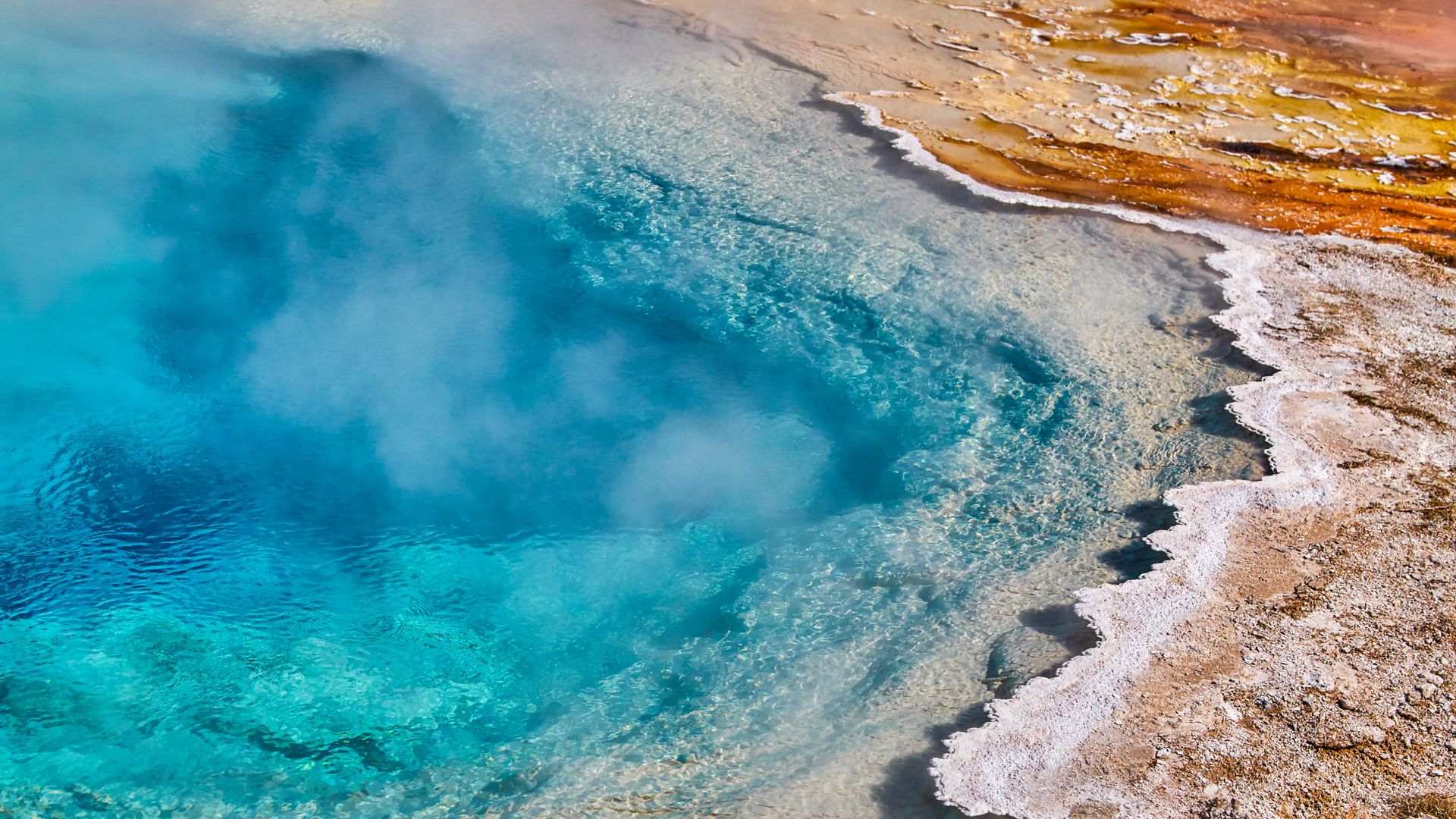 "It's really hot!" – yet another Yellowstone tourist insists on ...